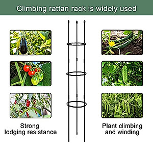 MIXXIDEA 2 Packs Garden Trellis for Climbing Plants Outdoor and Indoor - 48-Inch Garden Obelisk Trellis Adjustable Metal Trellis for Tomato Plant Support