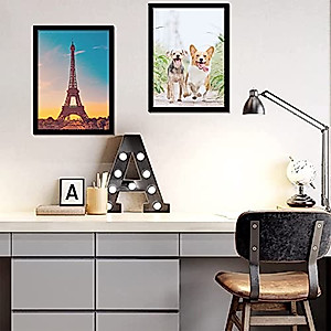 icariery Black 12x16 Picture Frame Set of 2, High Transparent Picture Frames for 12 x 16 Photo Canvas Collage Poster Certificate Wall Gallery Horizontal Vertical 12 By 16