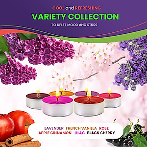 Scented Tealight Candles 90-Pack Bulk Variety Pack | Small Votives for Home & Weddings | Long Lasting Smokeless & Dripless | 6 Fragrances - Lavender, Vanilla, Rose, Apple Cinnamon, Lilac, Black Cherry