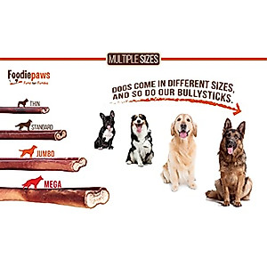 FOODIEPAWS All Natural 6-inch Mega Bully Sticks Odor Free USA Packed for Medium, Large Dogs-100% Free-Range Grass-Fed Beef-Single Ingredient & Rawhide Free-Longer Lasting Dental Dog Chews 15 Pcs