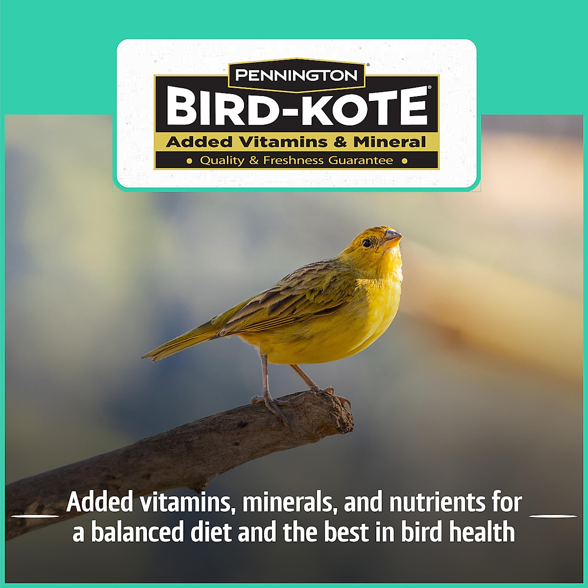 Pennington Pride Wild Finch Blend, Wild Bird Seed for Outside Feeders, Special Mix for a Variety of Musical & Colorful Birds, Great to Feed Year-Round, 10-lb. Bag