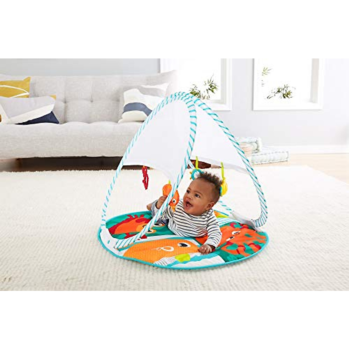 Fisher-Price Fold & Go Portable Gym