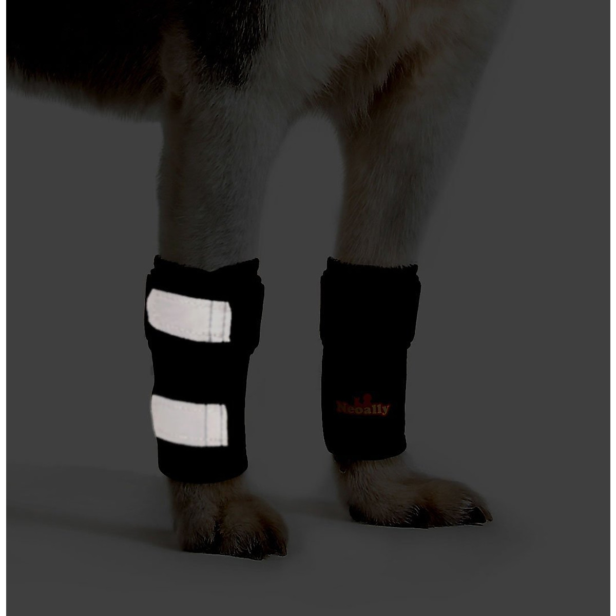 NeoAlly Dog Braces Front Leg Carpal Support Canine Wrist Braces with Safety Reflective Straps for Limping, Joint Pain, Lameness, and Loss of Stability from Arthritis (S/M Pair)