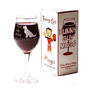 Funny Guy Mugs Dog Is Home Wine Glass, 11-Ounce - Fun Dog Lovers Wine Glasses with Sayings