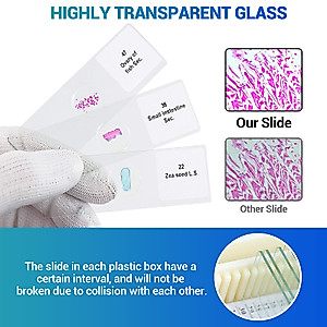 50 Prepared Microscope Slides with Specimens for Kids Students - Plants Insects Fish Animals Human Tissue Cells Samples, for Biological Science Lab, Children Education, Homeschool