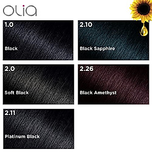 Garnier Hair Color Olia Ammonia-Free Brilliant Color Oil-Rich Permanent Hair Dye, 2.0 Soft Black, 2 Count (Packaging May Vary)