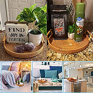 YIWEN Rattan Woven Round Basket, Round Rattan Woven Serving Tray with Handles for Bread Fruit Vegetables, Restaurant Serving & Tabletop Display Baskets (8.7", 1pc)