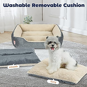 Miguel Dog Bed with Removable Cushion/Pillow for Medium Small Dogs, Washable Pet Bed with Side Easy to Wash Puppy Bed, Large Rectangle Cat Bed for Indoor Cat with Anti-Slip Bottom, Gray 30 Inch