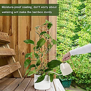 WellSign Plant Trellis for Climbing Plants Indoor Pot, 16.3 inch Small Wooden Trellis for Potted Plants with Moisture-Proof Layer for Vines Ivy Hoya Houseplants, Moon and Geometric Shape Design 2 Pack