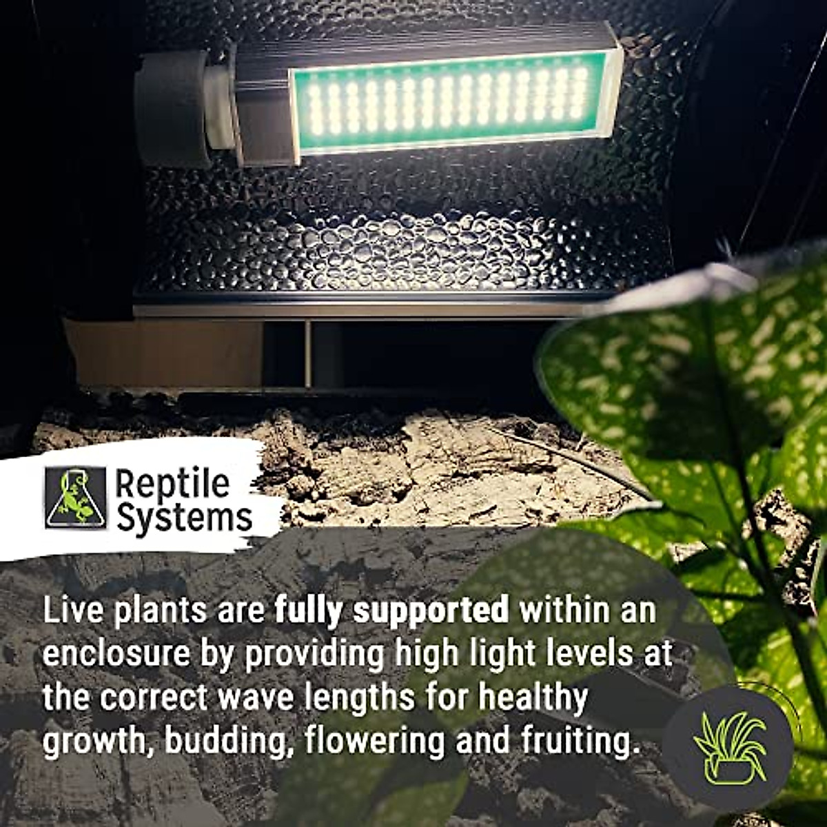 Reptile Systems New Dawn LED Compact Lamp, 6.69”: 6500K, 13W – Full Spectrum LED Luminaire Lighting for Natural Plant Growth in Terrariums, Vivariums, Hydroponics & Aquaponics