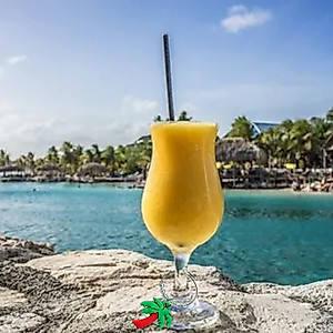 12 Pieces Beach Theme Wine Glass Charms,Wine Charms for Stem Glasses,Wine Drink Markers for Wine Lover Tasting Party