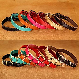 PET ARTIST Genuine Leather Dog Collar, Lightweight & Soft Padded Leather Collar, 7 Beautiful Color for Choices,Dog Collar for Puppy&Small Dog,Red,M