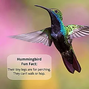 Sapphire Labs Naturally Fresh Hummingbird Nectar with Nectar Defender Lasts Longer in Hummingbird Feeders | Makes 96 oz of Clear Hummingbird Nectar | an Easy Mix Hummingbird Nectar Powder