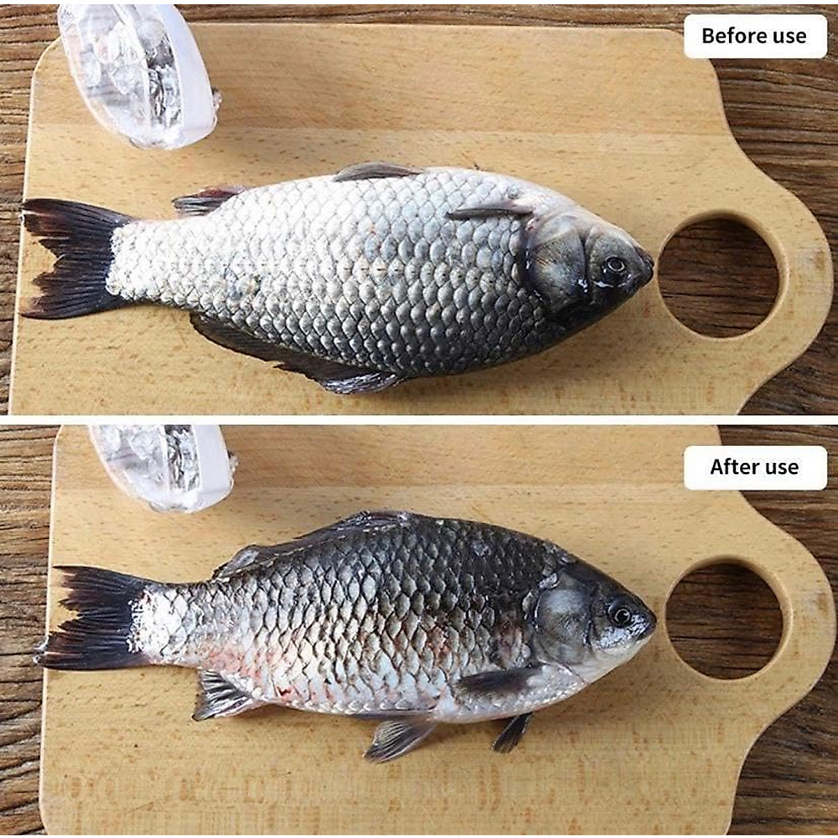 AG Fish Scaler Remover No Mess Fish Descaler Tool Fish Scraper Fast Cleaning Fish Skin Brush Cleaning Kit Easy to Use