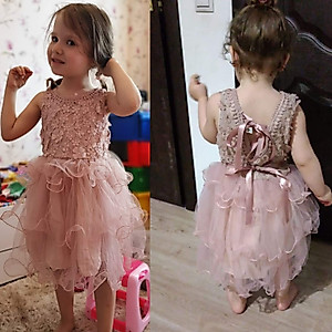 HNXDYY Flower Girl Princess Dress Tutu Sleeveless Birthday Party Summer Baby Clothes 678 Pink 2-3 Years