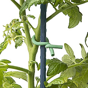 Nite Ize Gear Tie Garden Foam Tie, The Original Reusable Foam Twist Tie, Cut to Size, 20 Foot Spool, Green