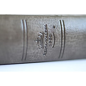 Biblia RVR 1960 letra grande tamaño manual, simil piel gris con nombres de Dios / Spanish Bible RVR 1960 Handy Size Large Print Leathersoft Grey, Names of god