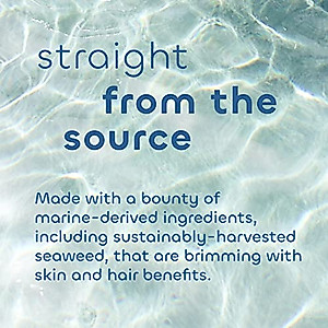 Seaweed Bath Co. Detox Shampoo, Rosemary Mint Scent, 12 Ounce, Sustainably Harvested Seaweed, French Sea Clay, Apple Cider Vinegar, For All Hair Types