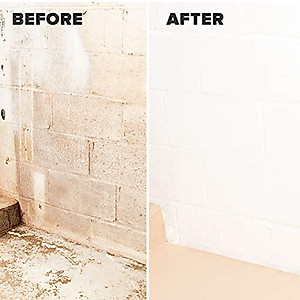 INSL-X AMW100009A-01 WaterBlock Acrylic Masonry Waterproofer Paint, 128 Fl Oz (Pack of 1), White