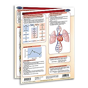 Cardiovascular Physiology - Biology - Medical Quick Reference Guide by Permacharts