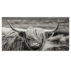 TsyTma Retro Highland Cattle Kitchen Rug Western Farm Kitchen Floor Mats Washable Non-Slip Rug Runner Laundry Room Home Decor 39"x20"