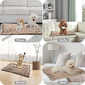 PJYuCien Fluffy Fleece Calming Pet Throw Blanket, Super Soft and Warm for Indoor Cats and Dogs, Small 16 * 24", Machine Washable, Grey Puppy Blanket(Brown)