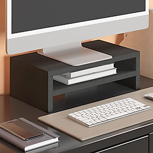 Way Basics Monitor Stand for Office Gaming Desk Laptop PC Riser - 2 Tier (Charcoal Black)