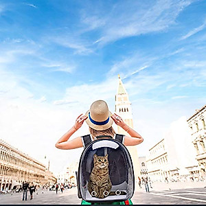 Henkelion Cat Backpack Carrier Bubble Carrying Bag, Small Dog Backpack Carrier for Small Medium Dogs Cats, Space Capsule Pet Carrier Dog Hiking Backpack, Airline Approved Travel Carrier - Black