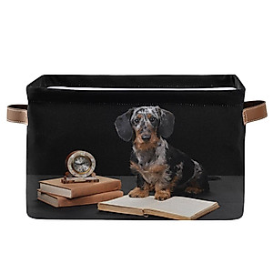 ALAZA Funny Dachshund Dog Black Foldable Storage Box Storage Basket Organizer Bins with Handles for Shelf Closet Living Room Bedroom Home Office 1 Pack