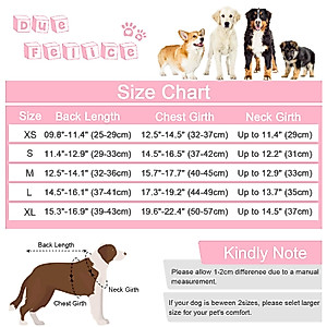 Due Felice Dog Surgery Suit Female Spay Recovery Suit for Dogs Surgical Recovery Suit for Female Dog Neuter Recovery Suit Male Dogs Onesie for Surgery Fits Small Medium Dog Love/Flower/X-Small