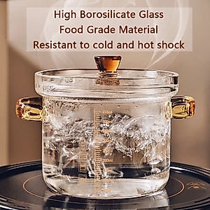 DEESUNG Glass Bowl with Handles and Lid, 15 OZ, With Measurement Marks, Food Grade High Borosilicate Glass, Measure Bowl, Bowl for Cereal, Dessert, Pasta, Salad and Soup