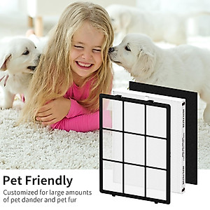 VALZONE 115115 HEPA Replacement Filter A Size 21 Compatible with Winix PlasmaWave Air Purifier C535 5300-2 6300-2,1 Washable Pre-Filter, 2 HEPA and 4 Carbon Filters