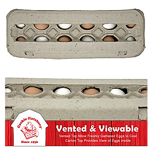 Vented Paper Pulp Egg Cartons (24 Pack)