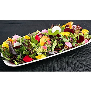 This is a Mix!!! 2000+ Seeds Microgreens Mix 40 Varieties - About 1 oz. - Superfood Seeds Heirloom Non-GMO Delicious Easy to Grow! from USA Fresh and Tested Seeds!