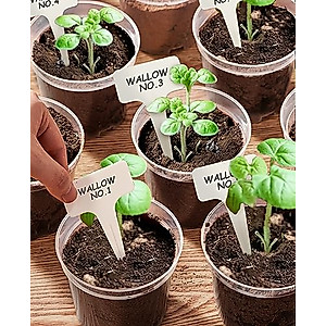 homenote Clear Nursery Pots for Plants,4 Inch Seedling Pots with Drainage Holes Plant Pot for Planting Flower Indoor Seed Starter Pots Outdoor High Transparency with Bonus 20 Plant Labels (30 Packs)