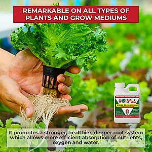 Hormex Vitamin B1 Rooting Hormone Concentrate - Rooting Hormone for Hydroponics, Aeroponics, Established Plants, Cuttings and More, Indoor and Outdoor Plant Growth Stimulator Concentrate - (8oz)