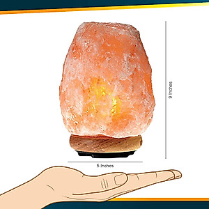 Himalayan Glow Salt Lamp with Dimmer Switch 5-7 lbs