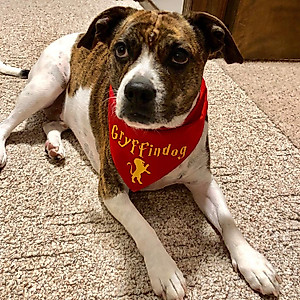 VINYL FROG Heat Transfer Vinyl Roll HTV Vinyl - 12"x5ft Yellow Iron on Vinyl for T-Shirts, Heat Press Vinyl for DIY Craft Designs (Yellow)