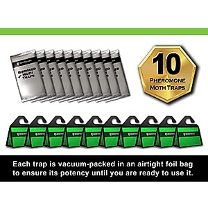 MaxGuard Birdseed Pantry Moth Traps (10 XL Pack) Extra Strength Pheromones | Non-Toxic Extra Large Sticky Glue Trap for Bird Seed Storage Areas | Attract, Trap and Kill Moths