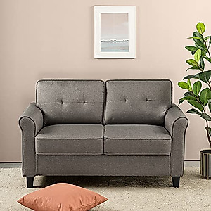 ZINUS Sayan Loveseat Sofa / Easy, Tool-Free Assembly, Sand Grey