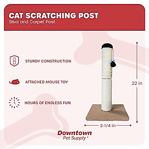 Downtown Pet Supply Small Cat Scratching Post with Mouse Cat Toy, 22" Tall - Tightly Woven Sisal Rope Cat Scratch Post for Indoor Cats with Stable 11" x 11" Base