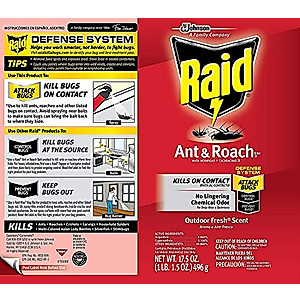 Raid Ant and Roach Killer 17.5 Ounce (Pack of 3)