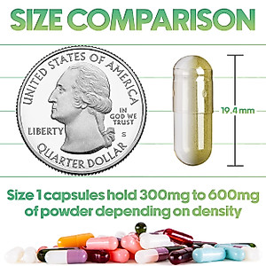 XPRS Nutra Size 1 Empty Capsules - 100 Count White Enteric Coated Empty Gelatin Capsules - Delayed Release Pill Capsules - DIY Capsule Filling - Pure Bovine Empty Enteric Capsules Gel Caps