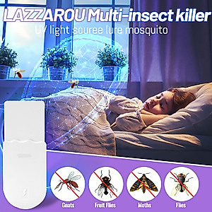 Flying Insect Trap - Indoor Fly Trap,4 PCS Highly Effective UV Blueish-Purple Light,Flying Insect Trap with Sticky Pads,for Flies, Fruit Flies, Moths, Gnats, and Other Flying Insects (4 pcs)