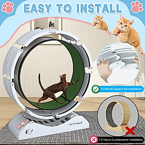 Cat Wheels for Indoor Cats, 31.5'' Cat Exercise Wheel, Cat Wheel with Brake, Removable Running Mat, Easy to Install,Cat Wheel Exerciser for Cat's Fitness & Health,Suitable for Most Cats (Blue)