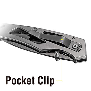 Kilimanjaro Vertice 8-Inch Everyday Folding Knife, Silver