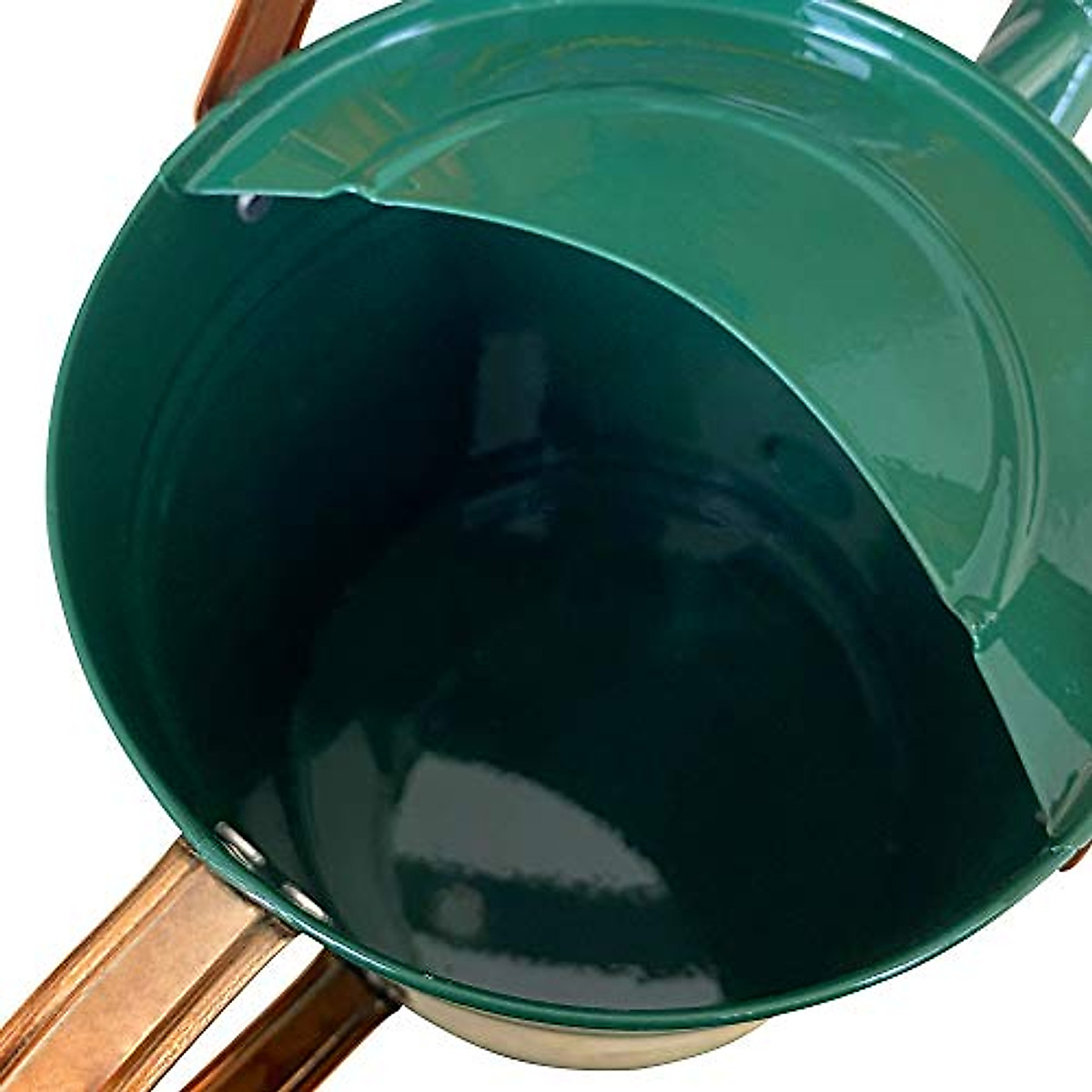 Metal Watering Can for Outdoor and Indoor Plants, Watering Can Decor, 1 Gallon (1 Gallon Green2)