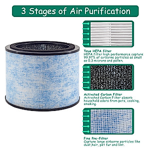 Asheviller AP200 Filter Replacement, Compatible with Instant® AP200 Air Purifier, H13 Grade True HEPA Filter and Activated Carbon Filter, Compare to F200 Filter,2 Pack