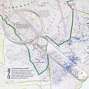 Staoptics 3 IN1 Magnifying Glass 3X 2X 10X Transparent Handheld Magnifier for Kids Seniors Reading Small Prints &Low Vision Macular Degeneration