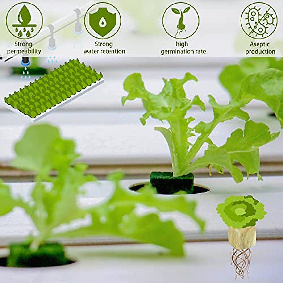 Legigo 1" Rockwool Starter Plugs- Rockwool Grow Cubes Rock Wool Seed Starters Cloning Cubes, Rock Wool Planting Cubes for Hydroponics, Cuttings, Soilless Culture, Plant Propagation (300 Plugs Total)